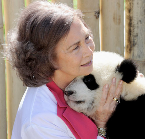 Los osos panda y Madrid, una historia de amor de más de 40 años ...