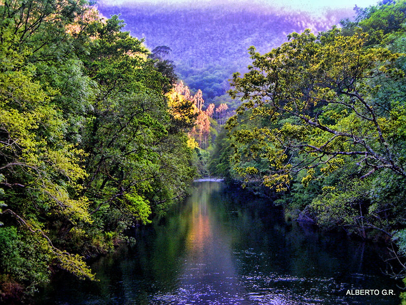 Los siete bosques españoles más impresionantes | Planeta Aventura